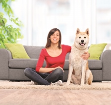 Animal Bailee (Professional Extension) | AVMA PLIT