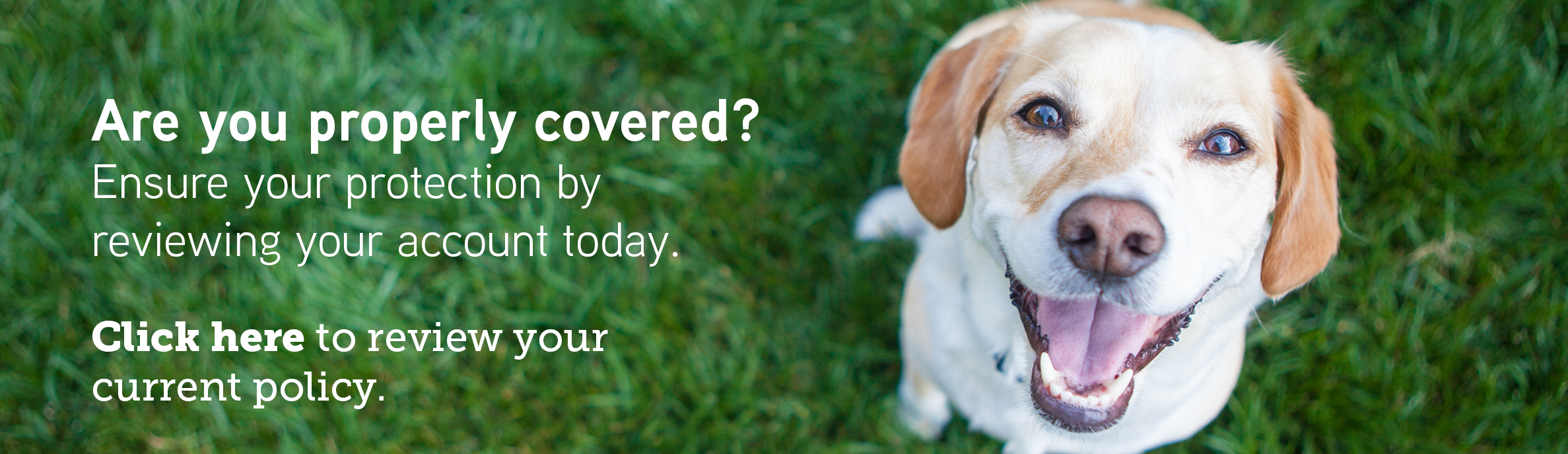 Business, Personal, and Professional Liability Insurance for ...