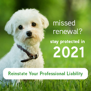 Business, Personal, and Professional Liability Insurance for ...